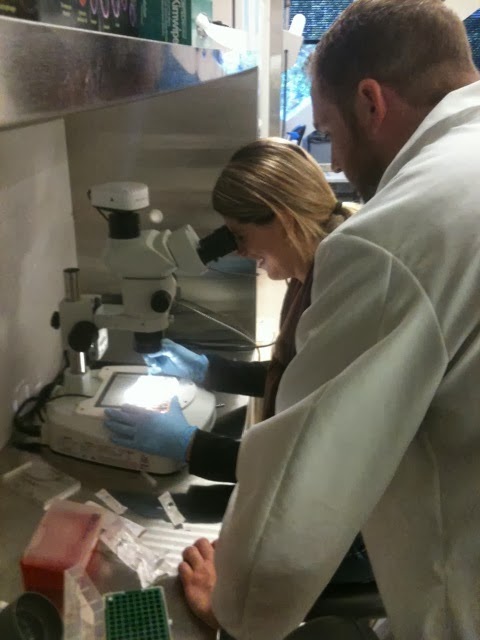 Sixth annual Stem Cell Awareness Day! Share your knowledge, share the ...