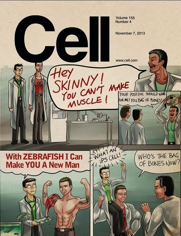 Stem cell stories that caught our eye: enhanced healing, engineered ...