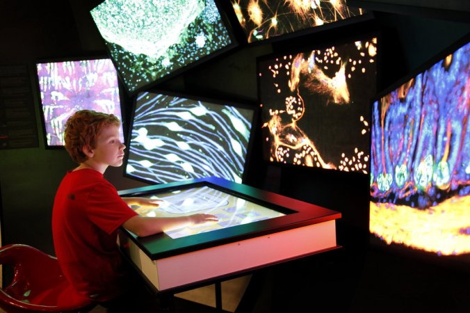 Museum exhibit explaining stem cell super heroes opens in Canada today ...