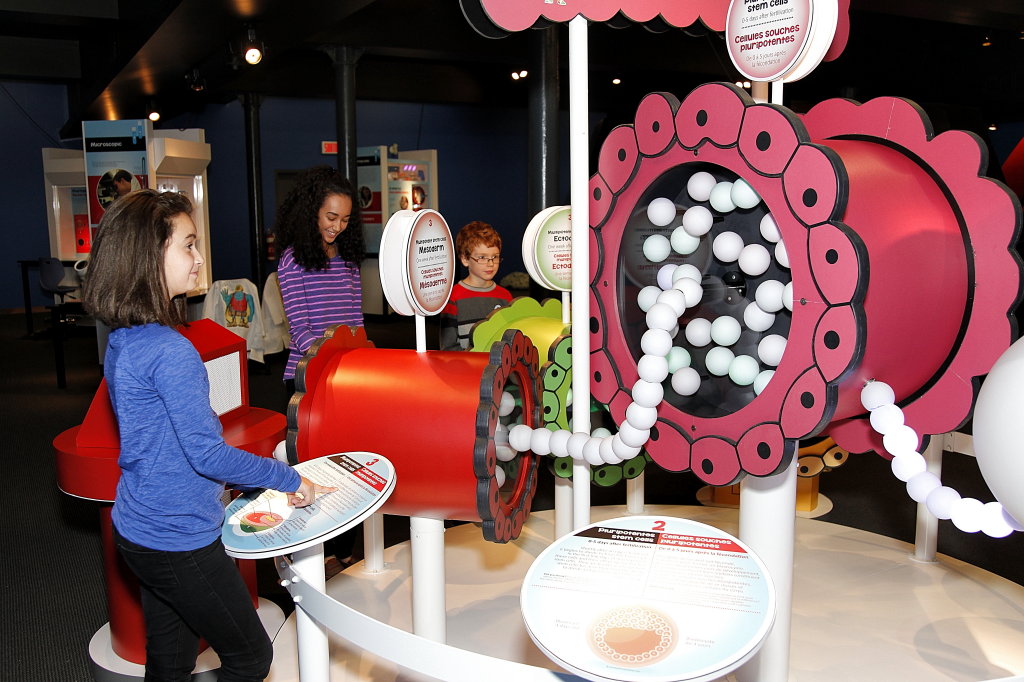 Super stem cell exhibit opens in San Diego | The Stem Cellar