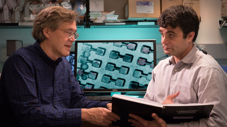 Tissue engineering | The Stem Cellar