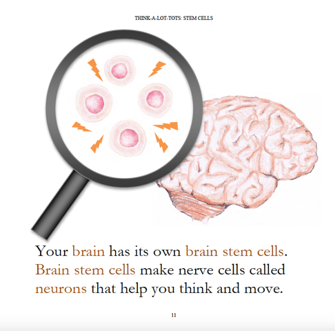 Teach your kids about stem cells and science with Think-A-Lot-Tots ...