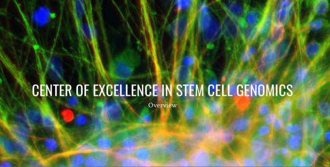 Stem Cell Tools: Helping Scientists Understand Complex Diseases - The ...