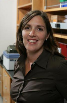 December | 2017 | The Stem Cellar