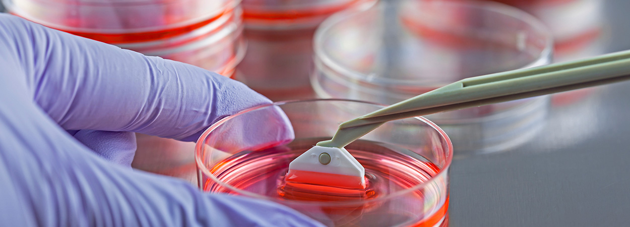 Tracking and mapping the health of damaged organs | The Stem Cellar