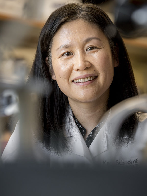 USC study shows how tumor cells in the bloodstream can target distant ...