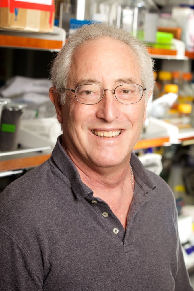 Kidney disease | The Stem Cellar