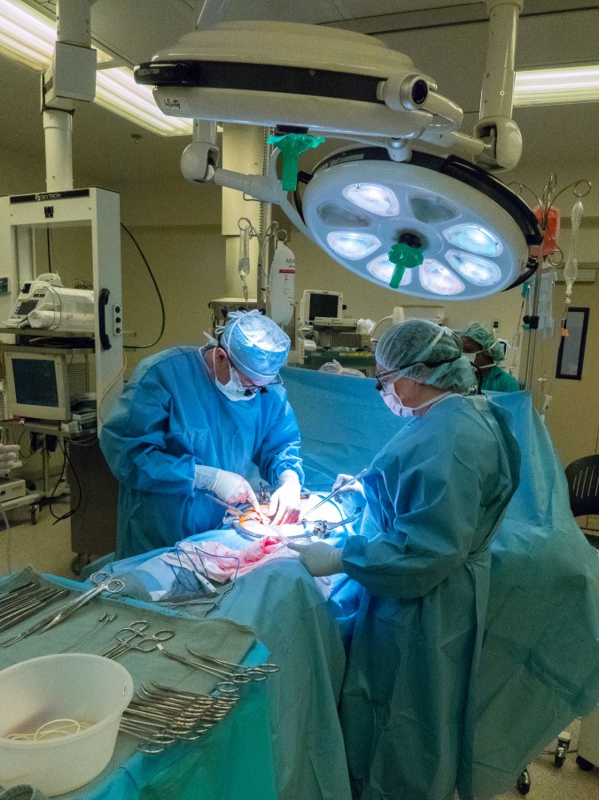 Kidney disease | The Stem Cellar