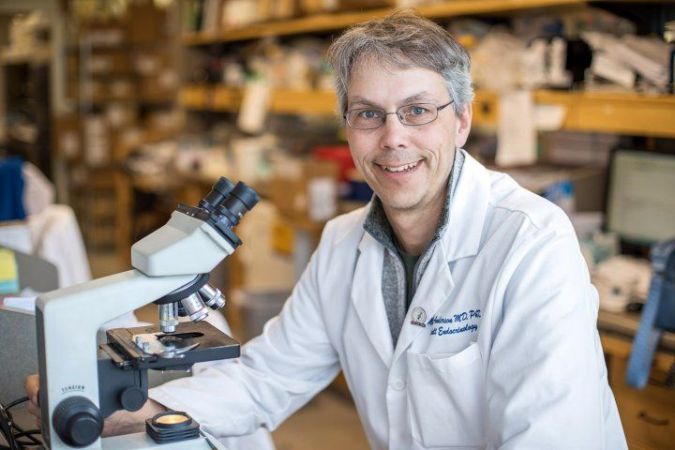 Diabetes | The Stem Cellar