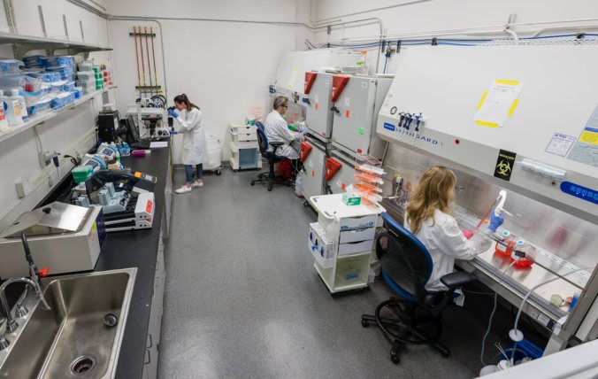 Diabetes | The Stem Cellar