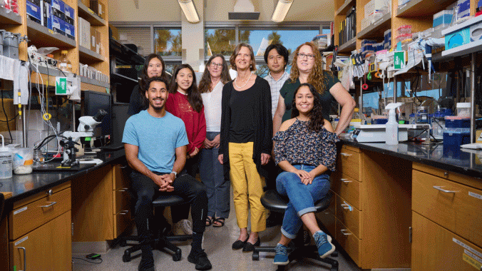 Meshing a passion for medicine with stem cell research | The Stem Cellar