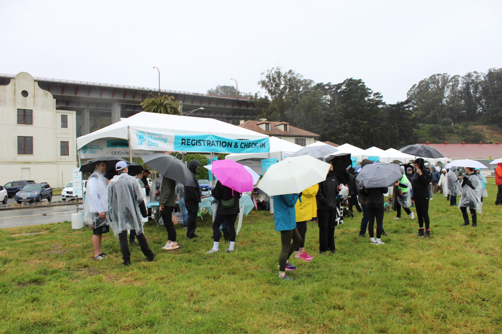 The Stem Cellar | The Official Blog of CIRM, California's Stem Cell Agency