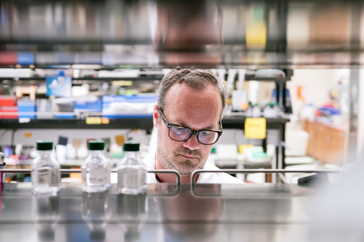 A CIRM Bridges trainee’s unconventional path into regenerative medicine ...