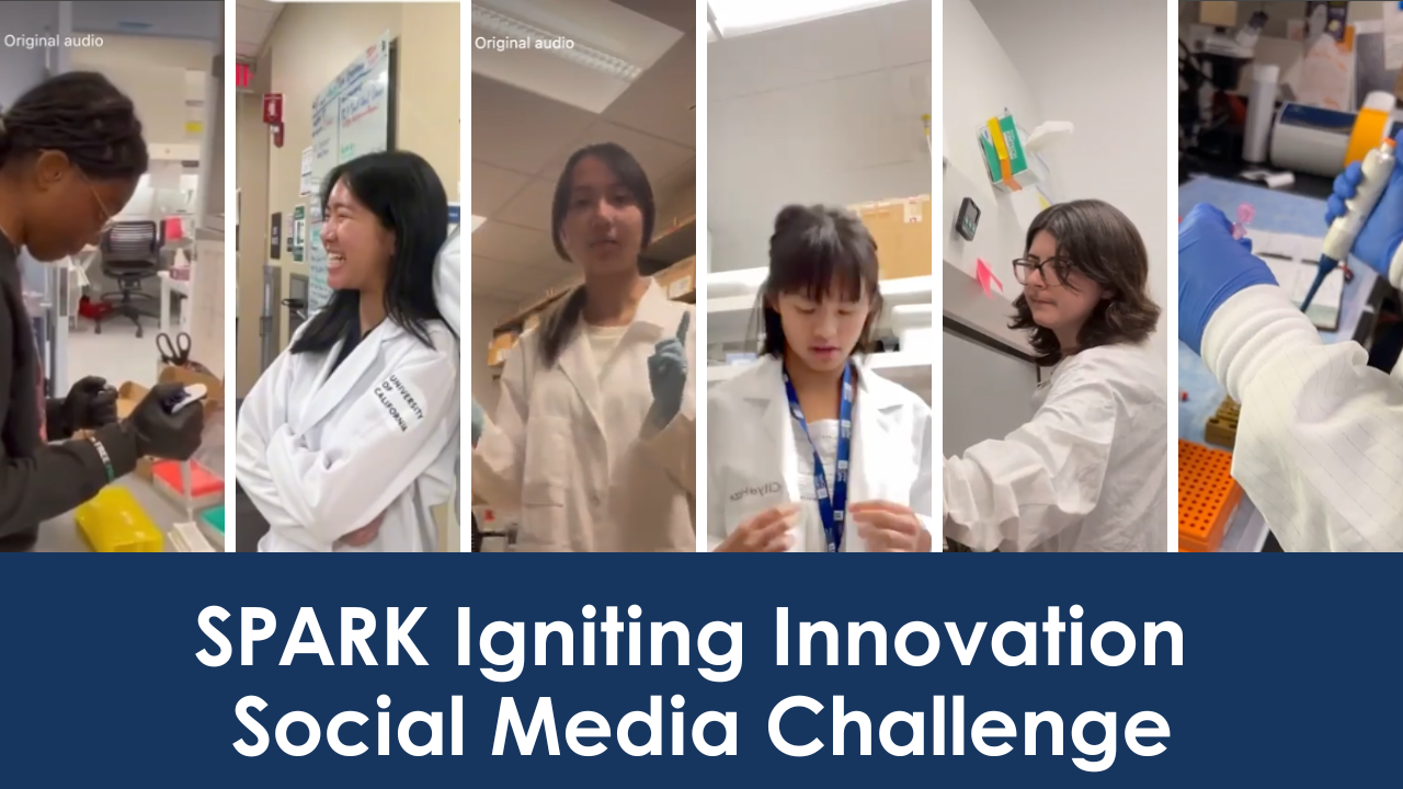A day in the life of SPARK interns | The Stem Cellar