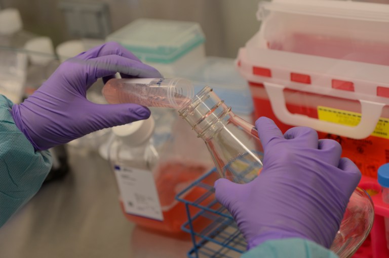 Two CIRM-funded research projects receive RMAT designation from FDA ...